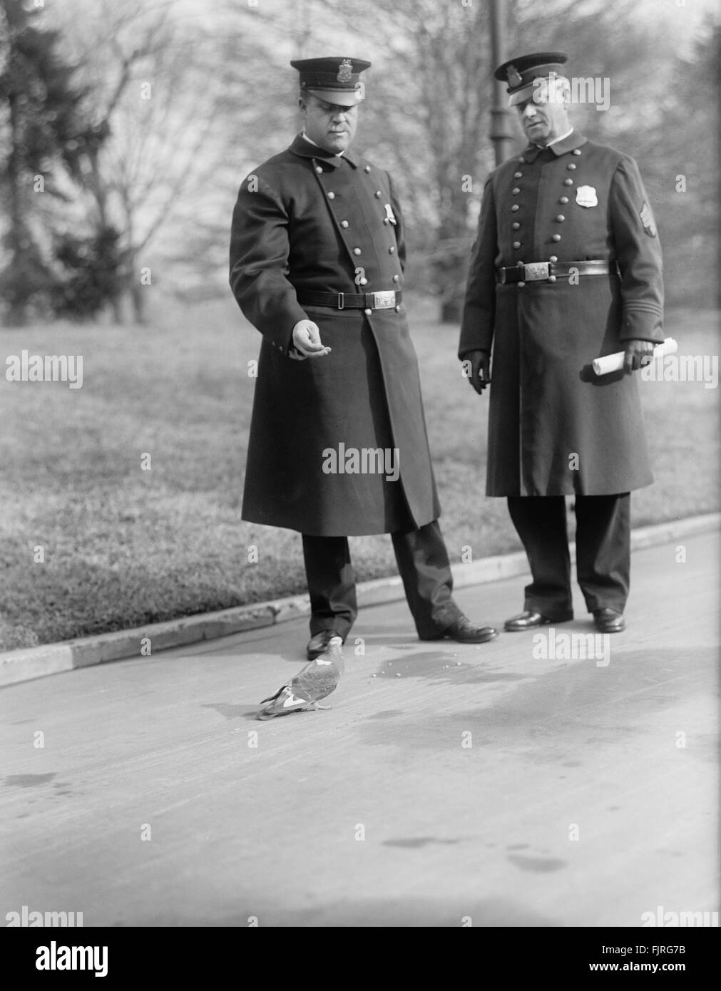 Animal cops Black and White Stock Photos & Images - Alamy