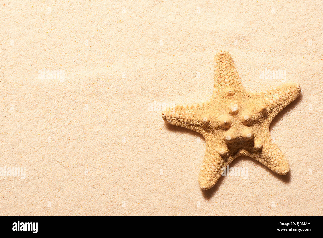 Starfish on sand. Summer beach background. View from above Stock Photo ...