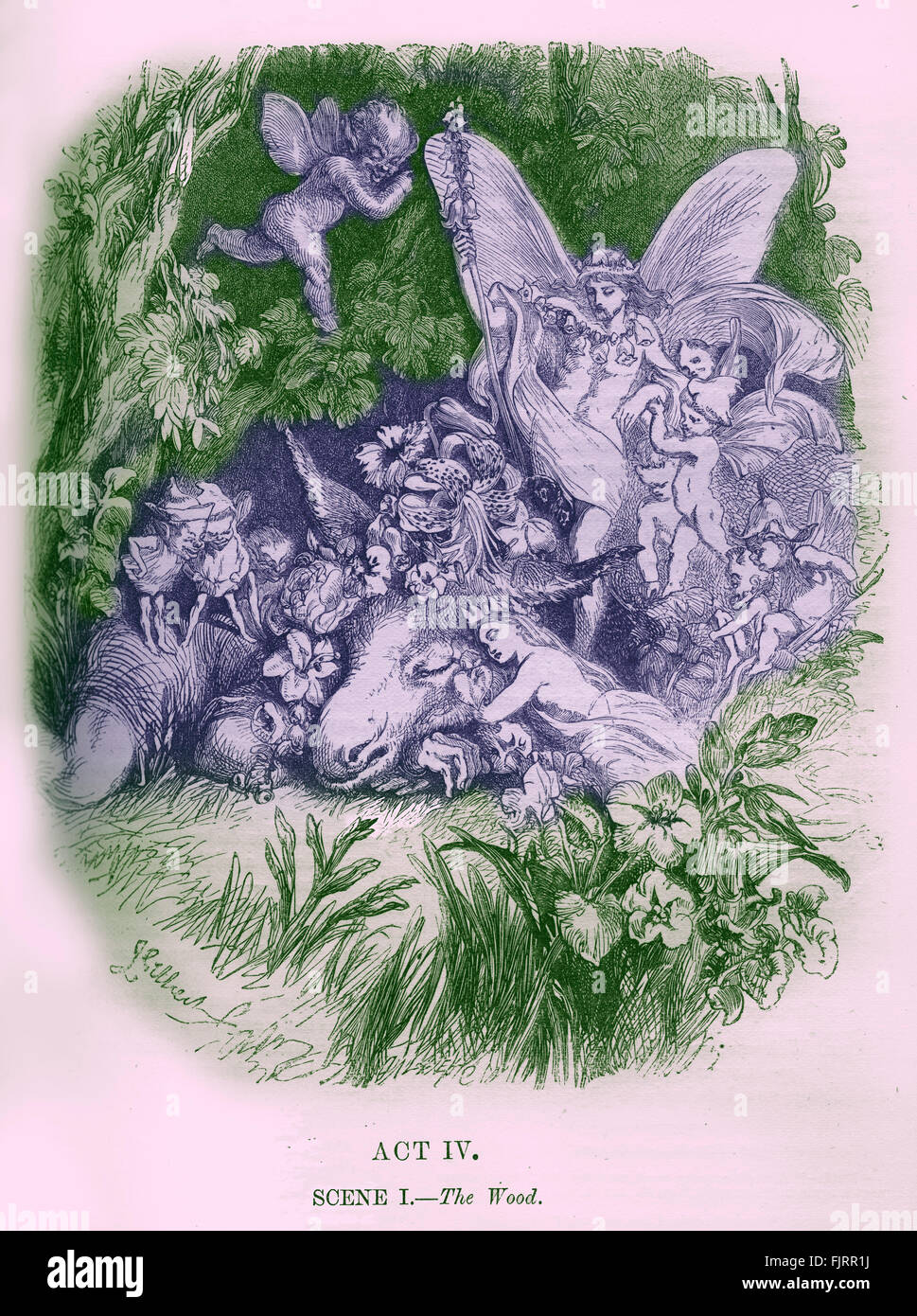 Midsummer Night's Dream Shakespeare High Resolution Stock Photography ...
