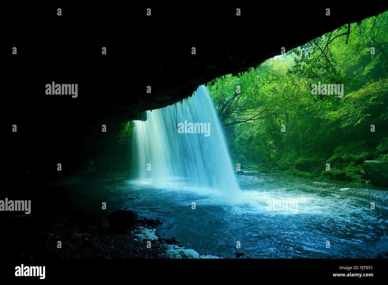 Waterfall green trees hi-res stock photography and images - Alamy