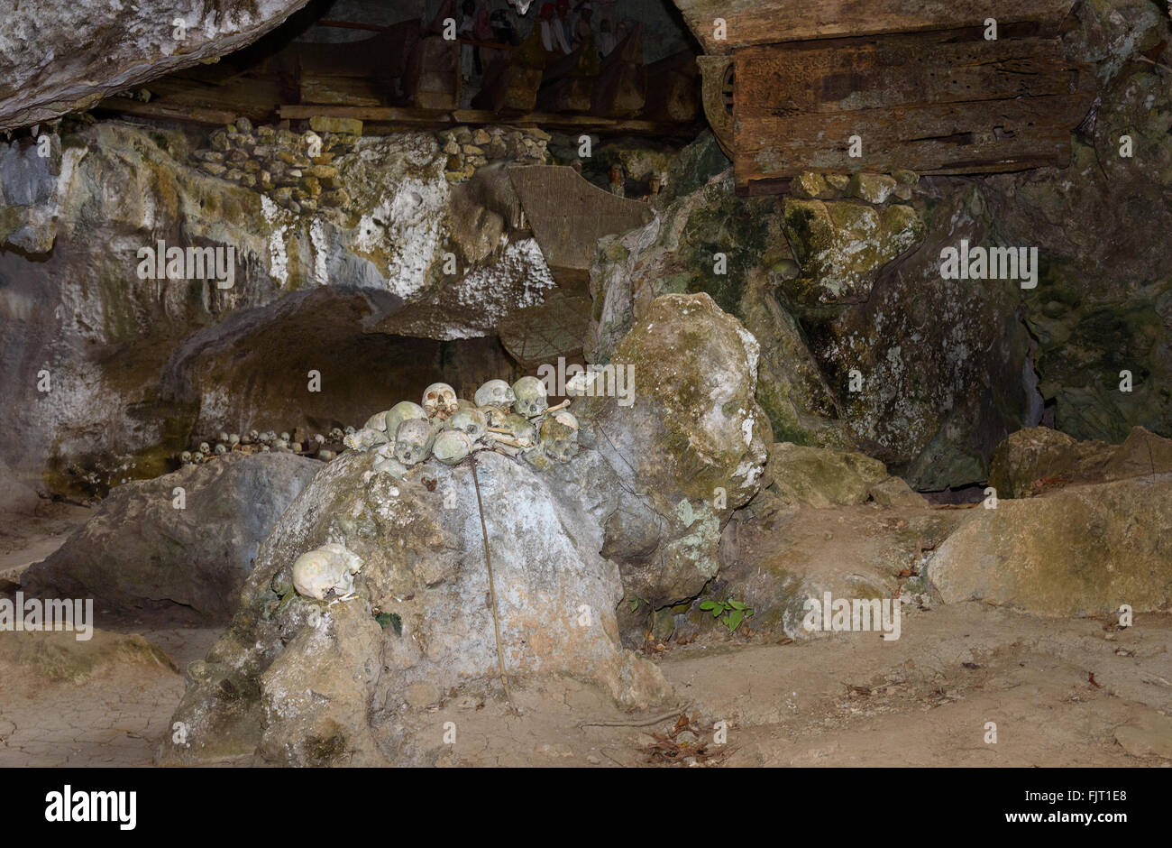 Pile of skulls by the entrance to Tampang Allo burial cave of the royal ...