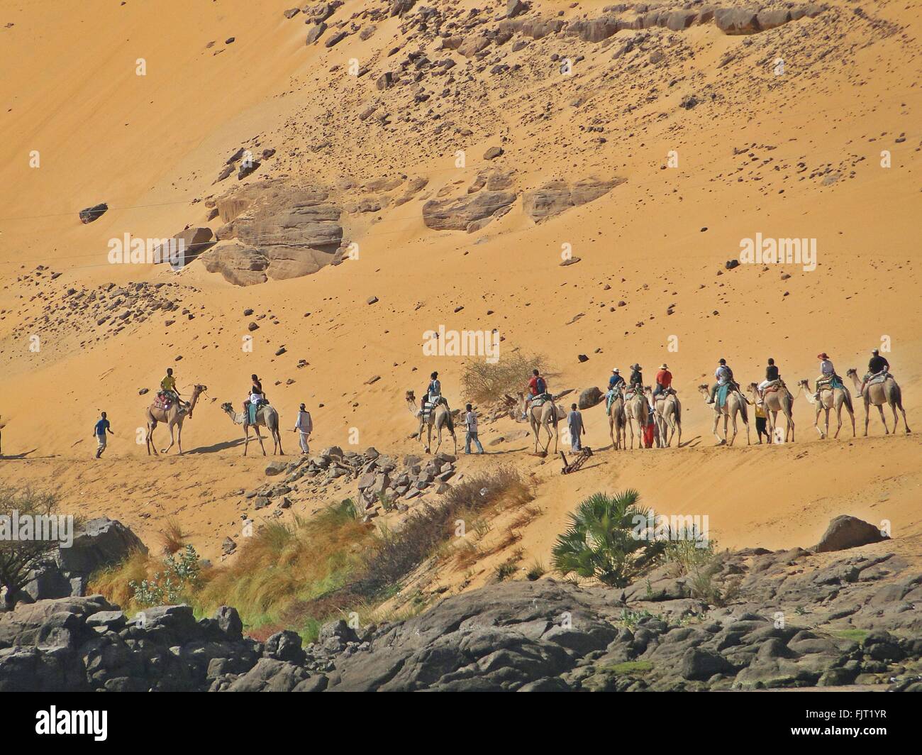Animal people in desert hi-res stock photography and images - Alamy
