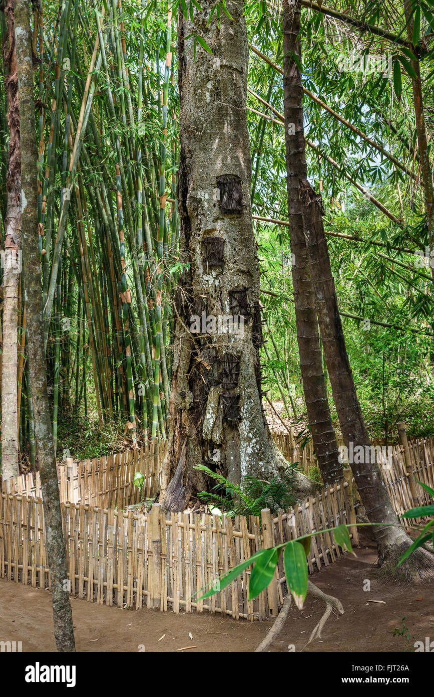 Baby graves hi-res stock photography and images - Alamy