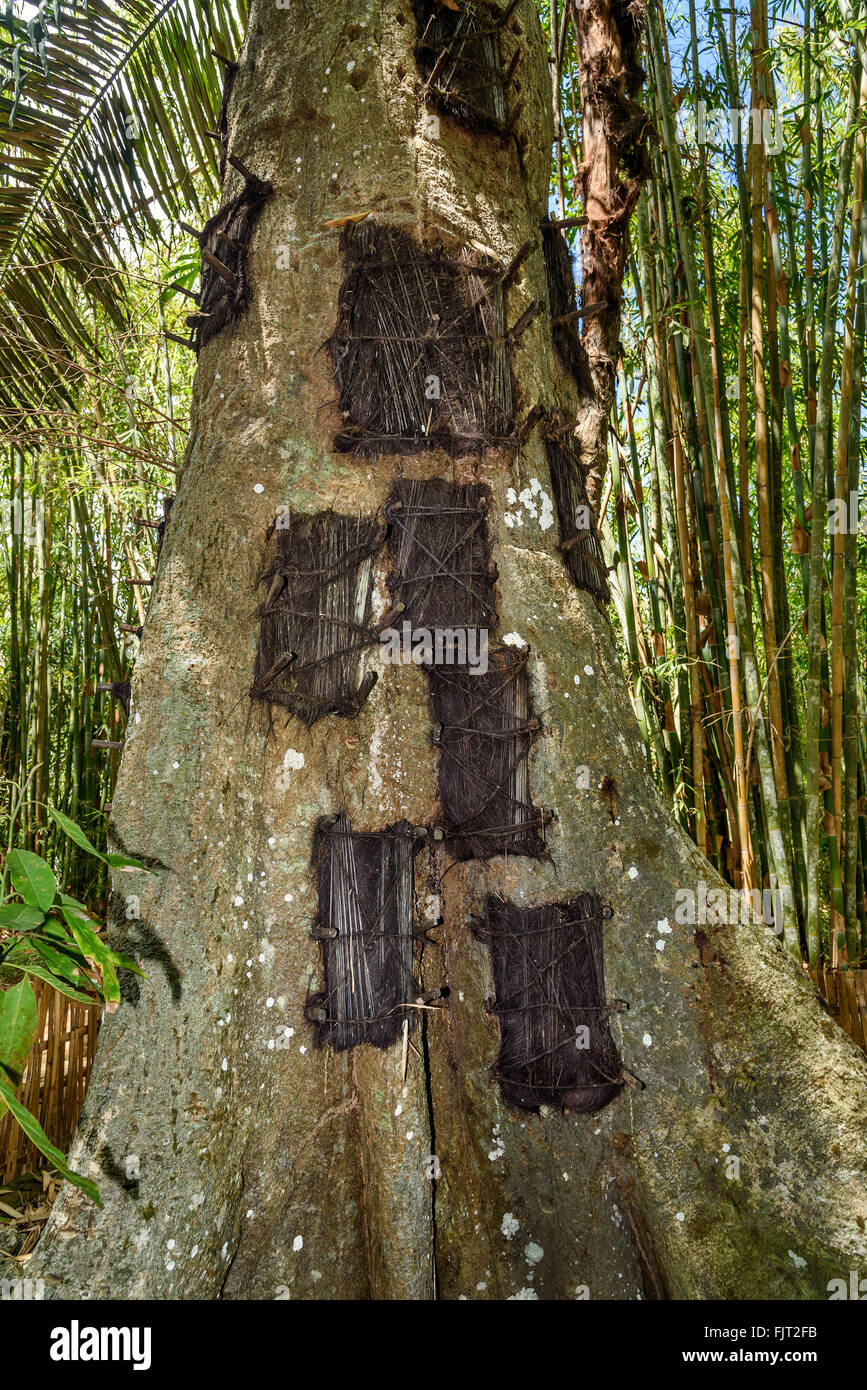 Baby graves hi-res stock photography and images - Alamy