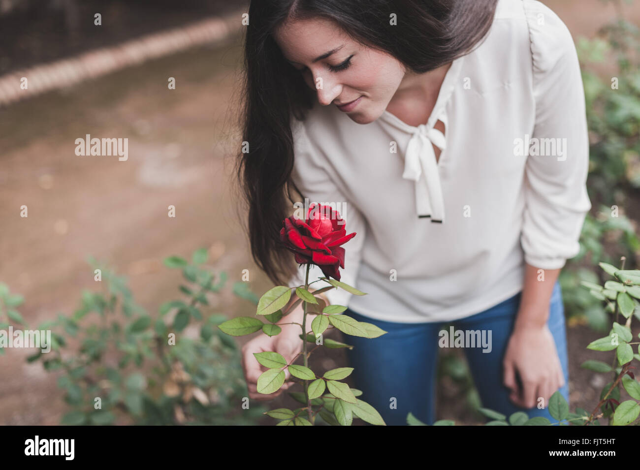 How looking this flower hi-res stock photography and images - Alamy