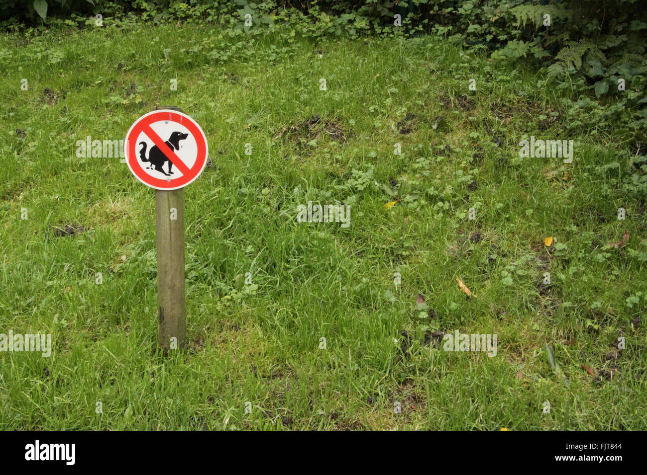 Sign Board On Grassy Field Stock Photo - Alamy