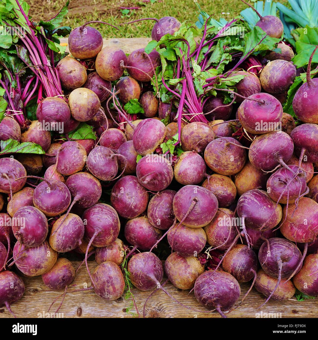 Beet red hi-res stock photography and images - Alamy