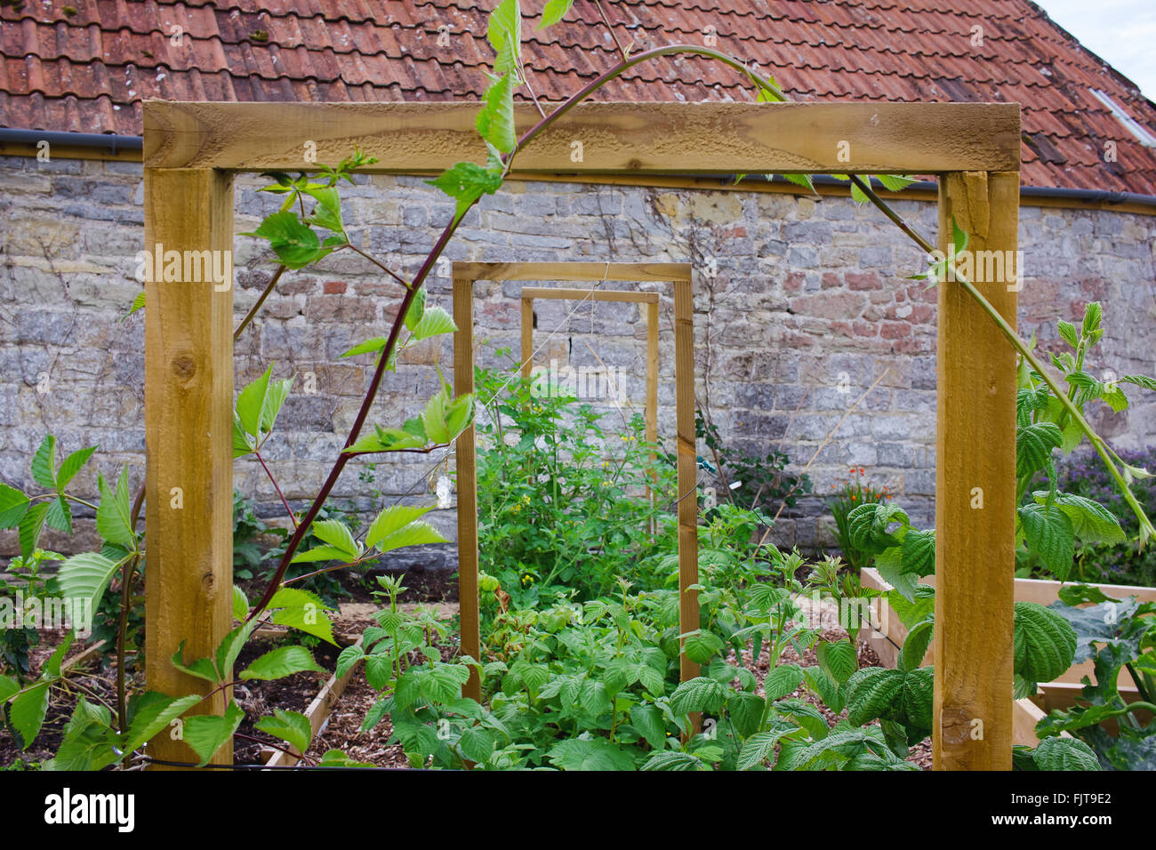 Wooden Garden Frames For Climbing Plants Discounts Order | www.pinnaxis.com