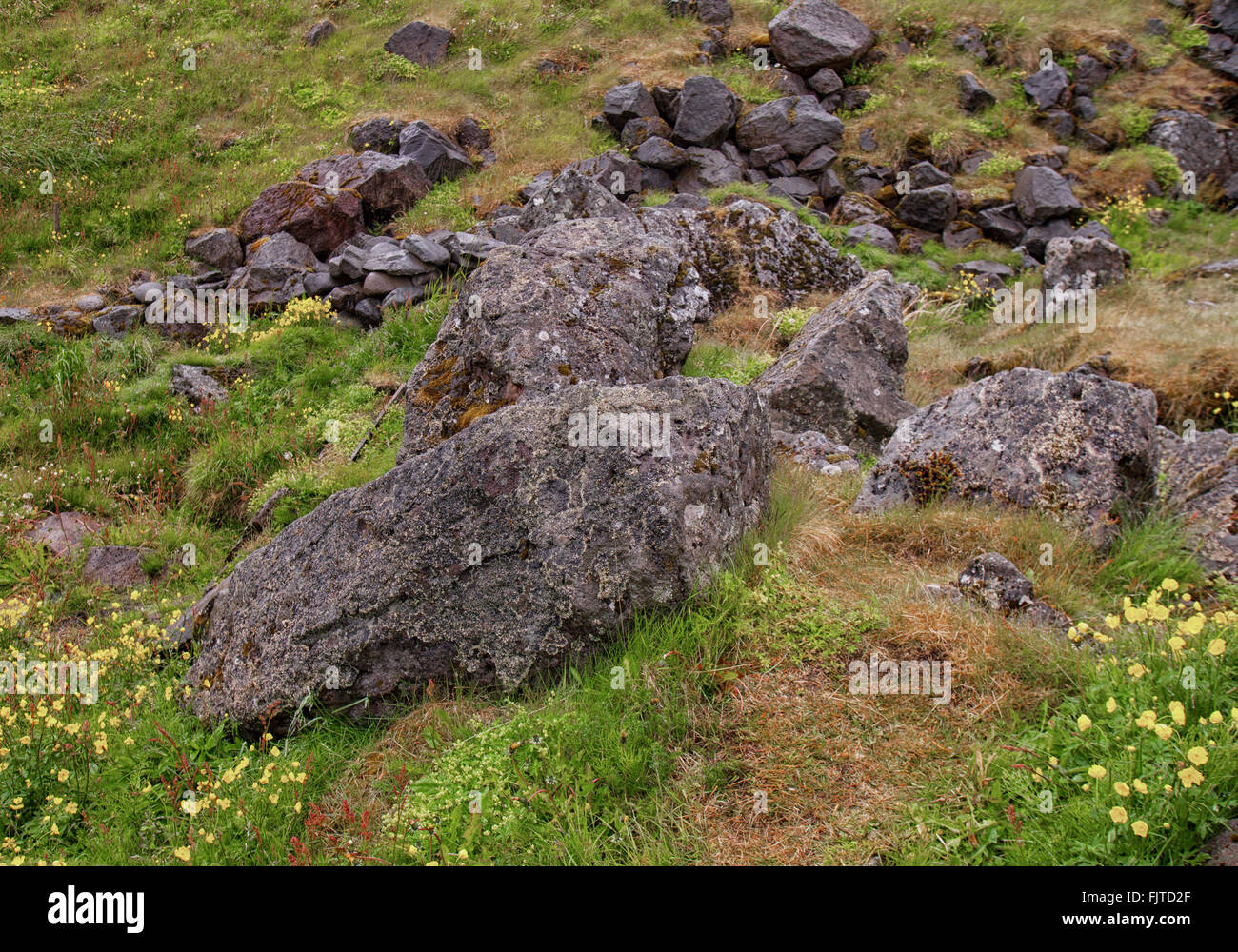 August 2, 2015 - Bolungarvik, Westfjords Peninsula, Iceland - Volcanic ...