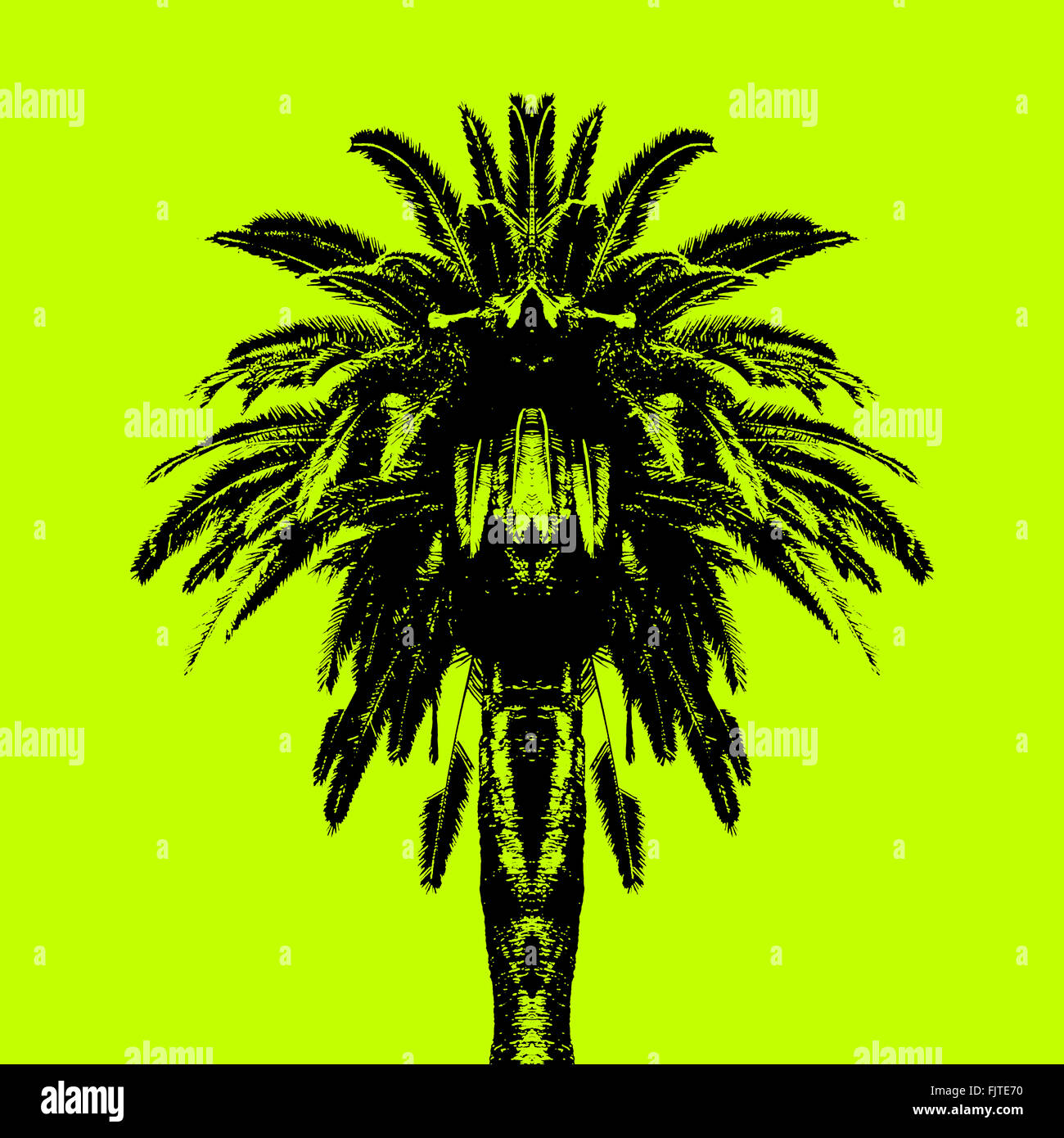 Symmetrical palm tree hi-res stock photography and images - Alamy