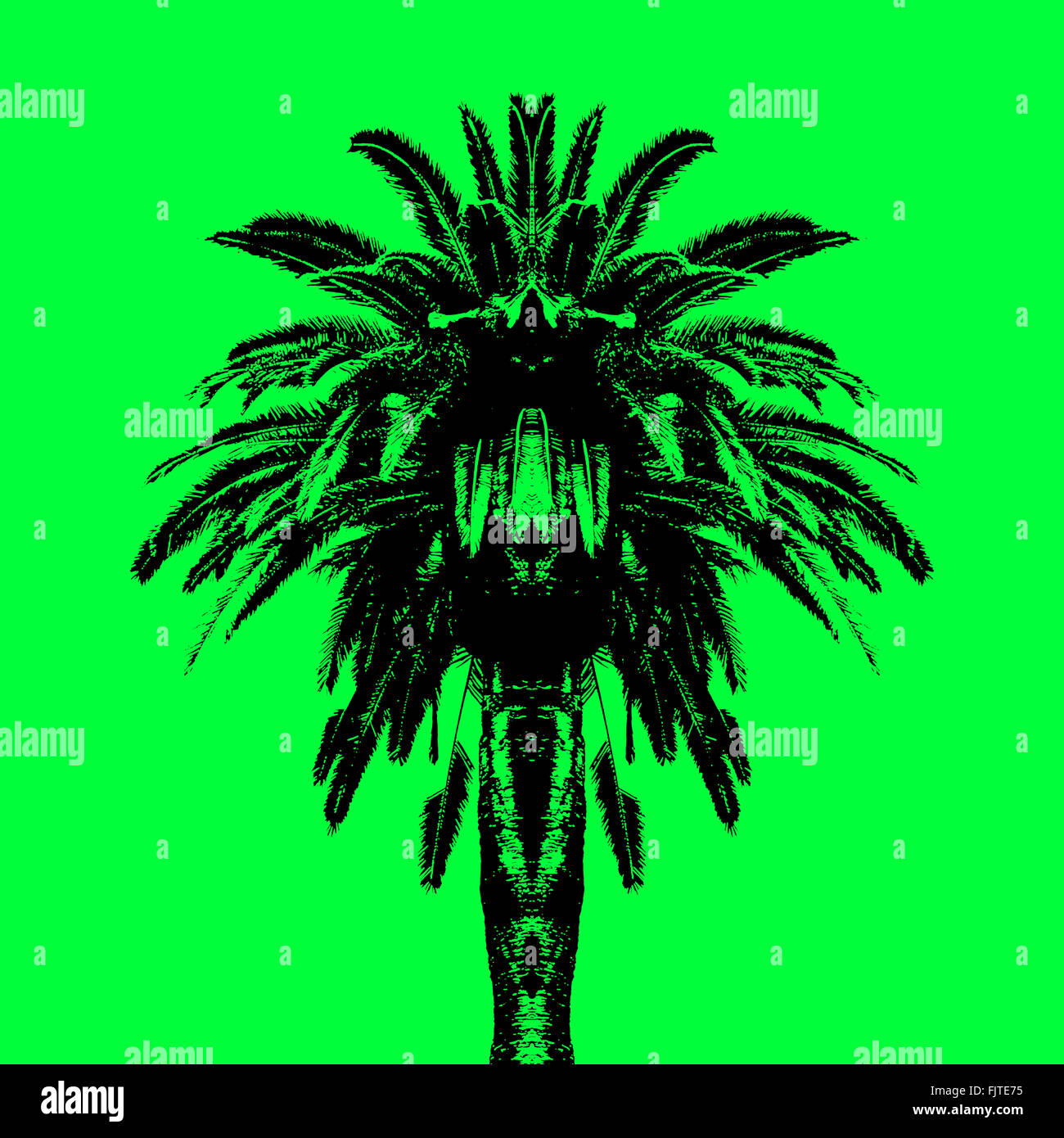 Symmetrical palm tree hi-res stock photography and images - Alamy