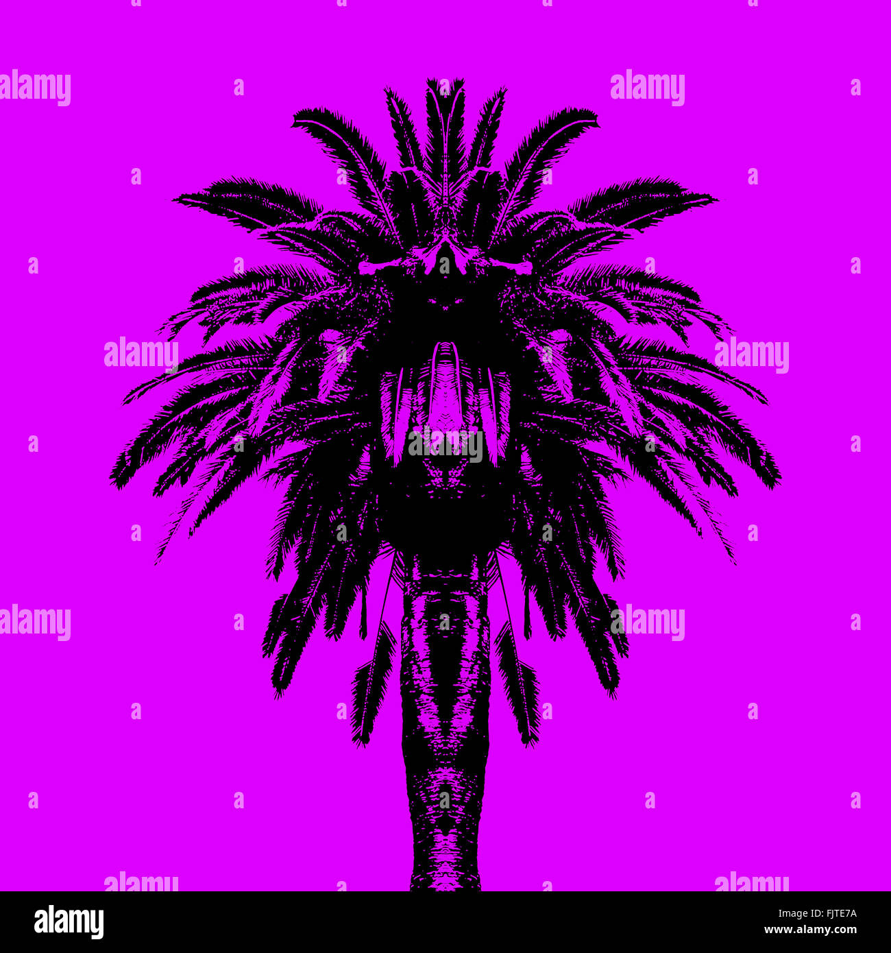 Symmetrical palm tree hi-res stock photography and images - Alamy