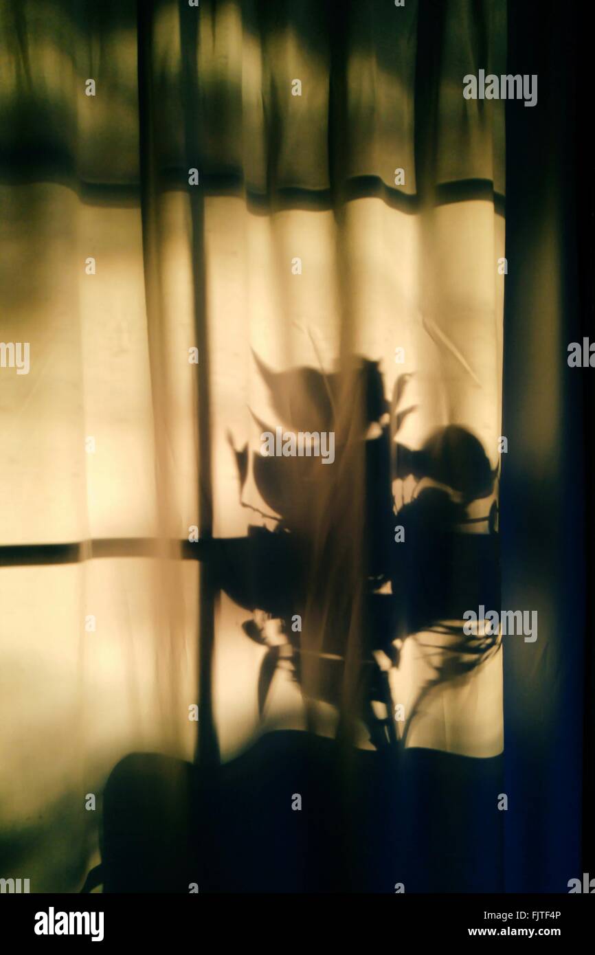 Light behind window hi-res stock photography and images - Alamy