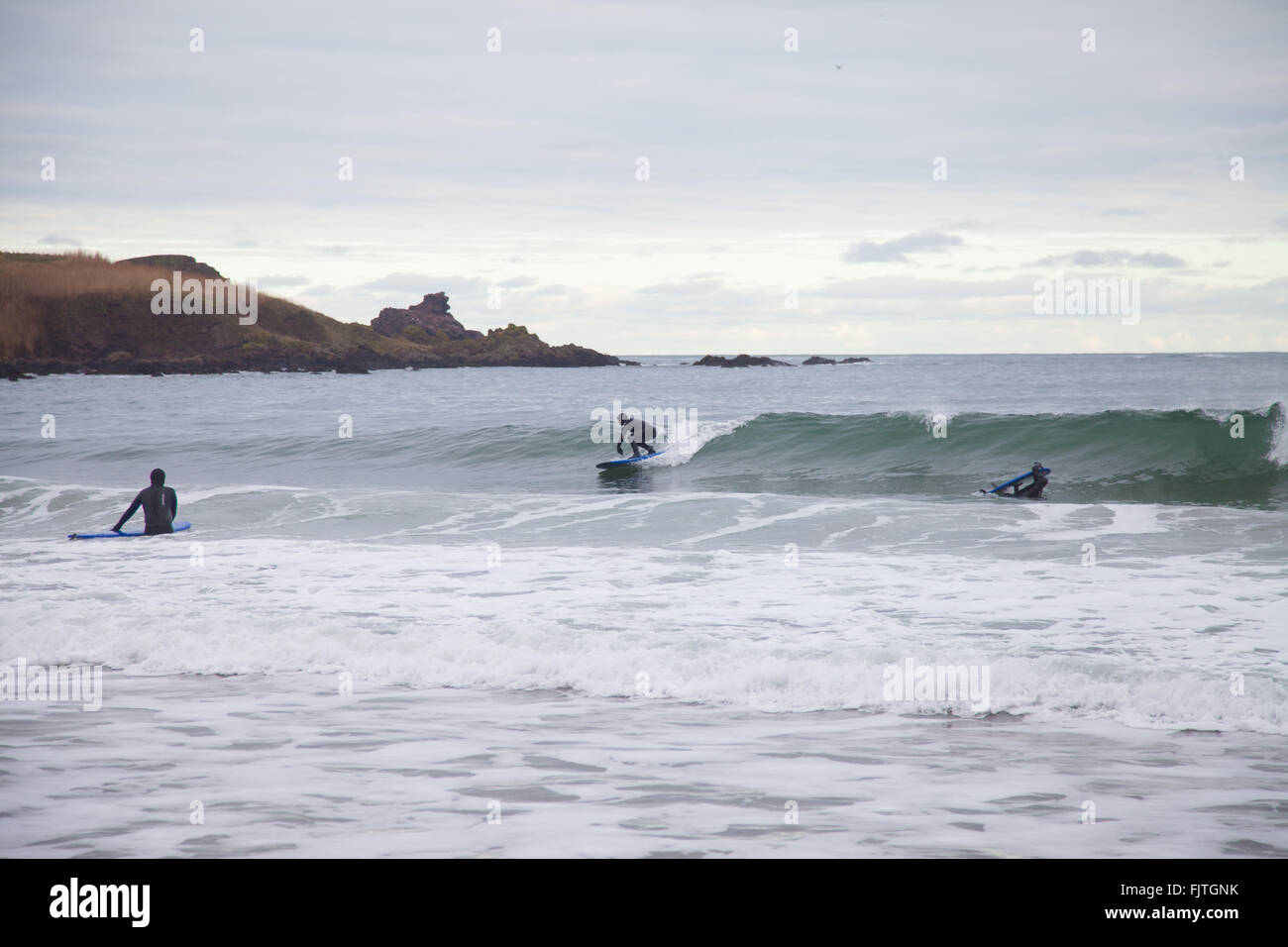 Surfers in the sea in Coldingham Bay, Scottish Borders, Scotland Stock ...