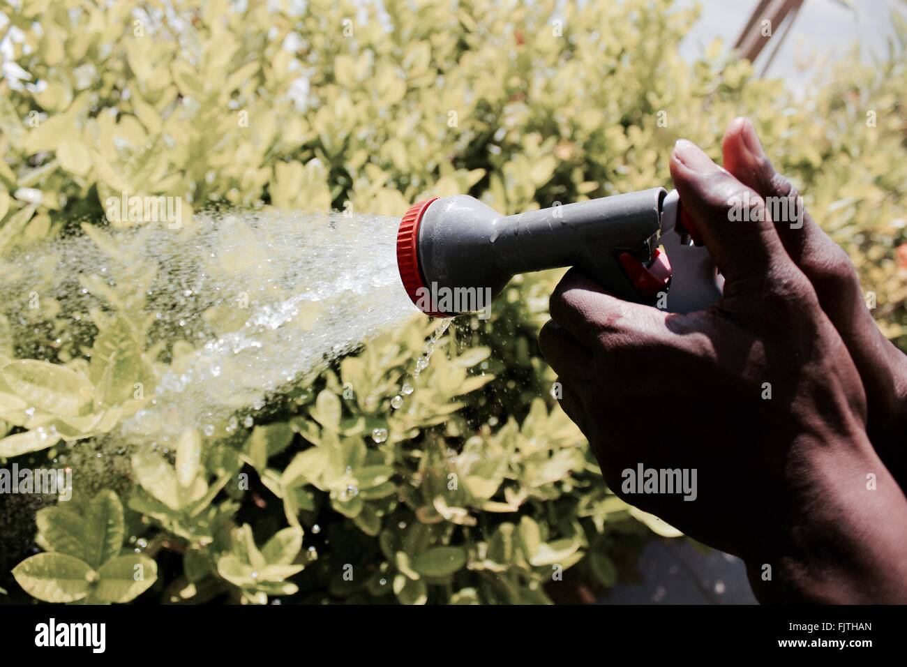 Hand Sprinkler High Resolution Stock Photography and Images - Alamy