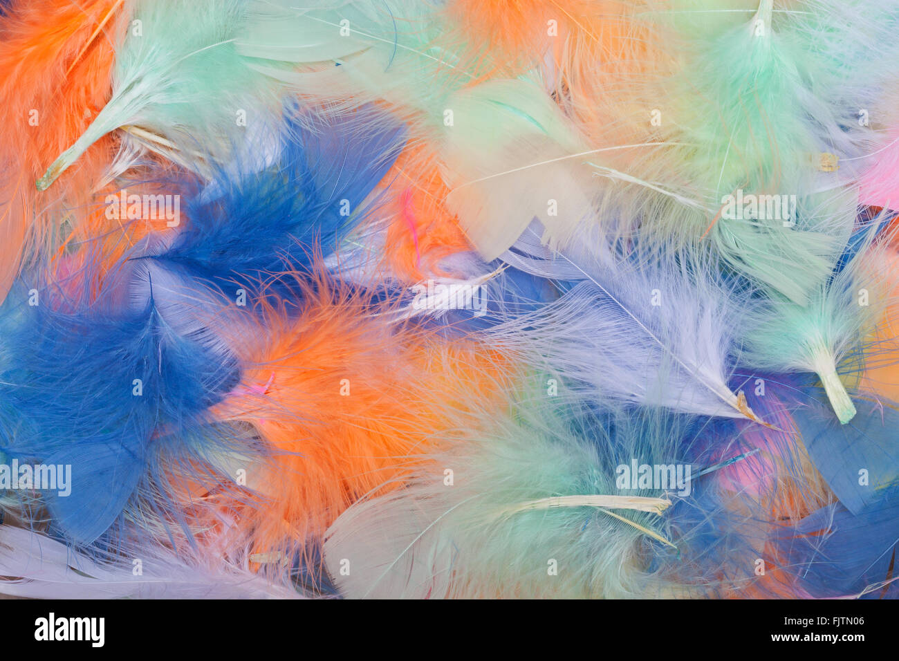 Feathers full frame hi-res stock photography and images - Alamy