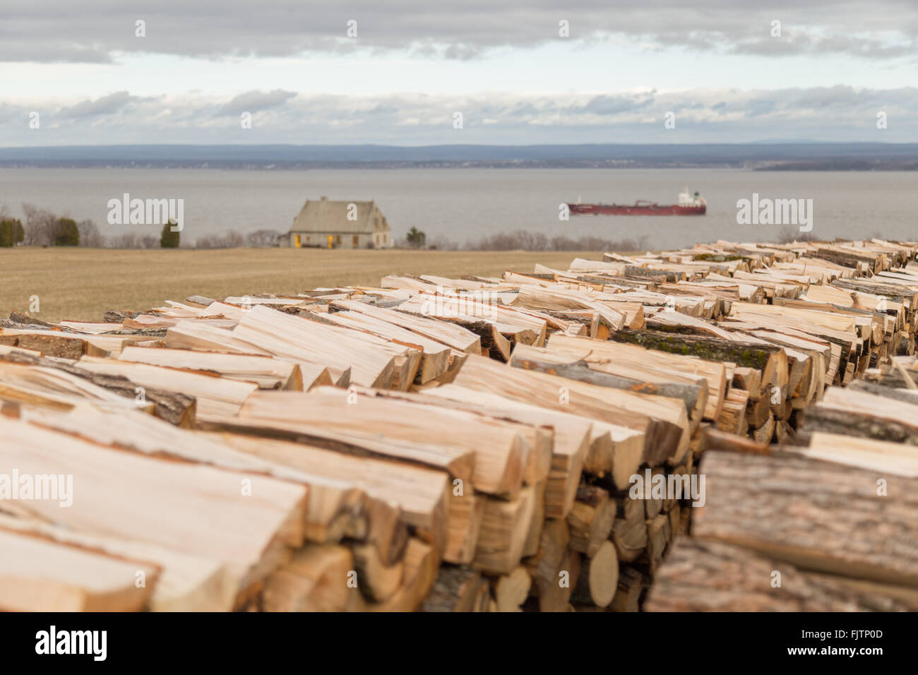 Long piles of cut firewood logs, freighter, and stone house in a field ...