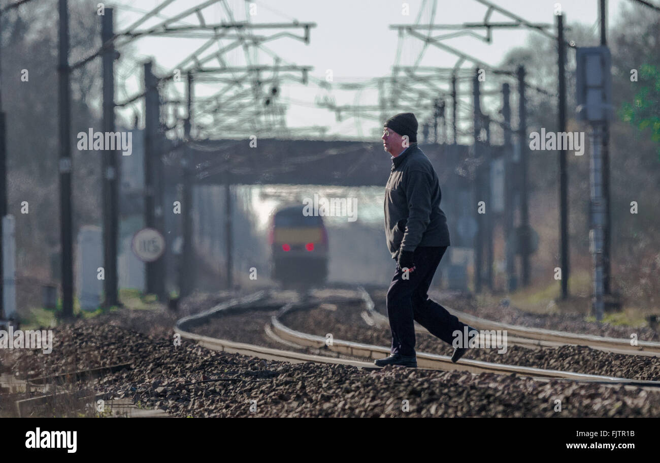 Male using the pedestrian level crossing on the East coast main line ...
