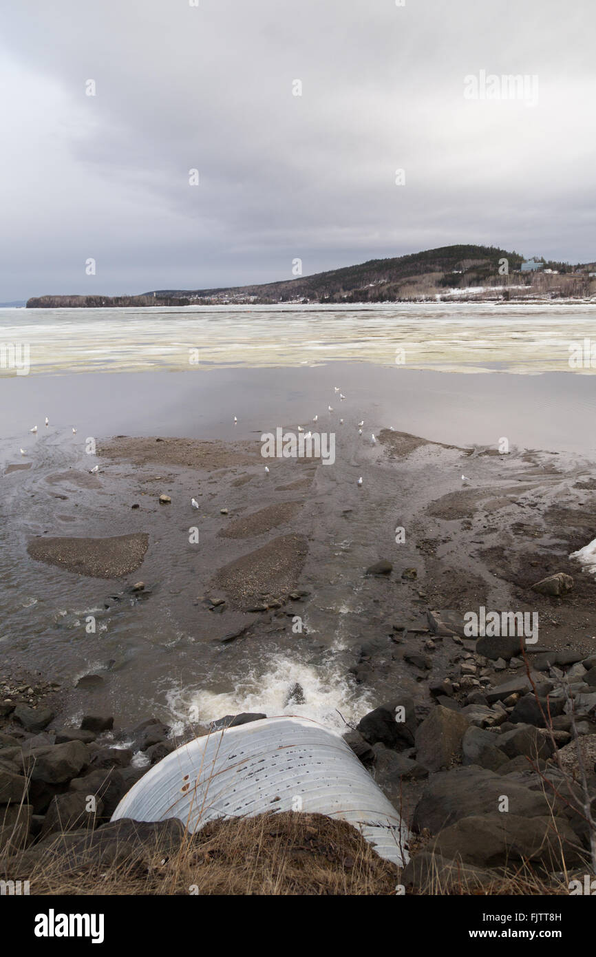 Sewage pipe draining into the St Lawrence River, Gaspe, Quebec ...