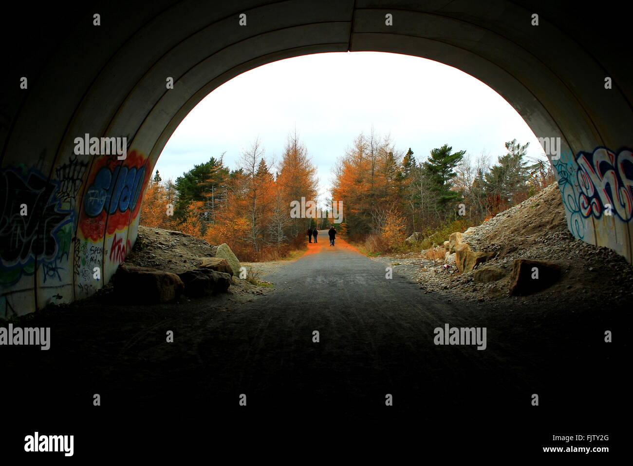 Road Over Arch Against Trees Stock Photo - Alamy