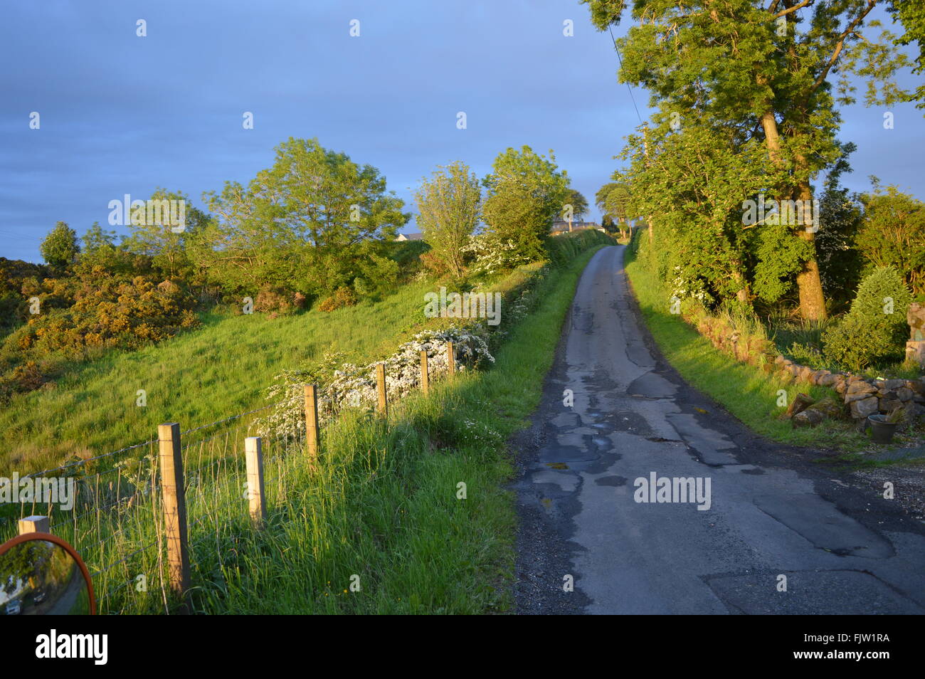 Sunset on country lane Stock Photo - Alamy