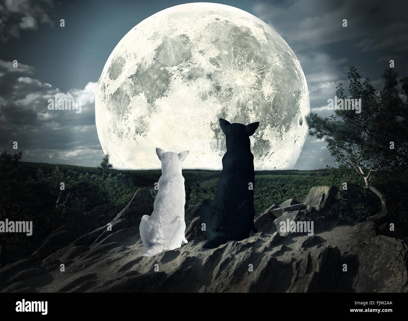 Howling to the moon hi-res stock photography and images - Alamy