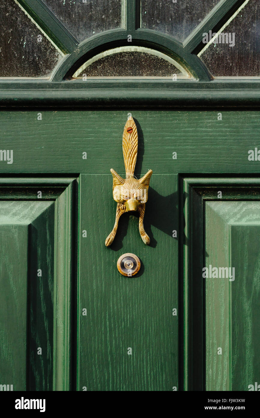 Golden fox knock door. Green door Stock Photo - Alamy