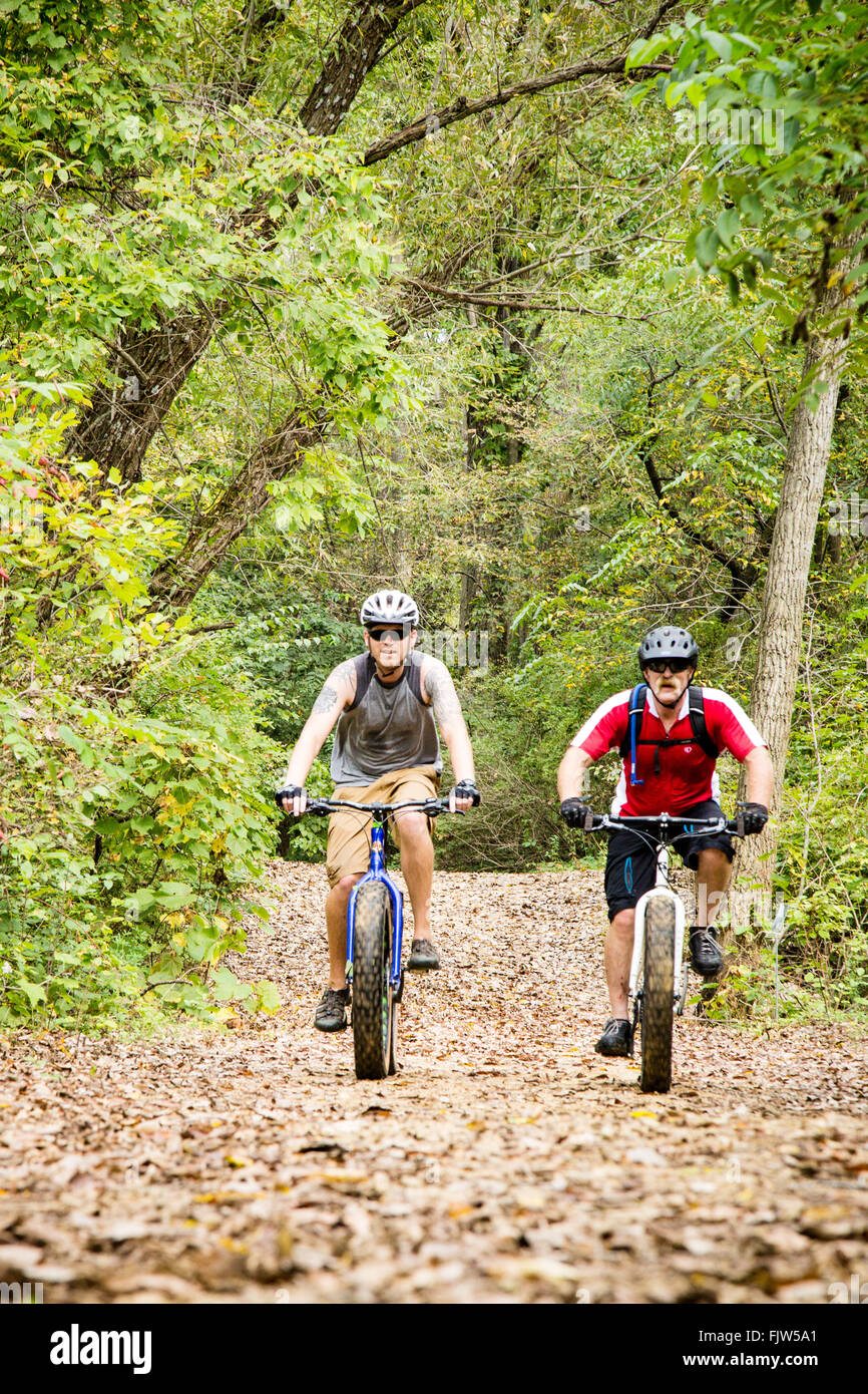 Biking in forest hi-res stock photography and images - Alamy