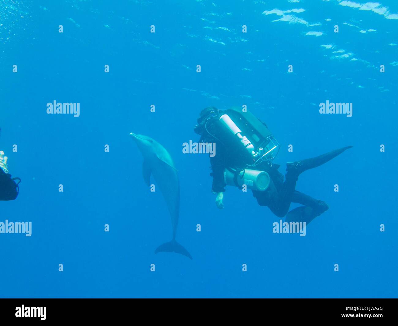 Scuba diver adventure hi-res stock photography and images - Alamy