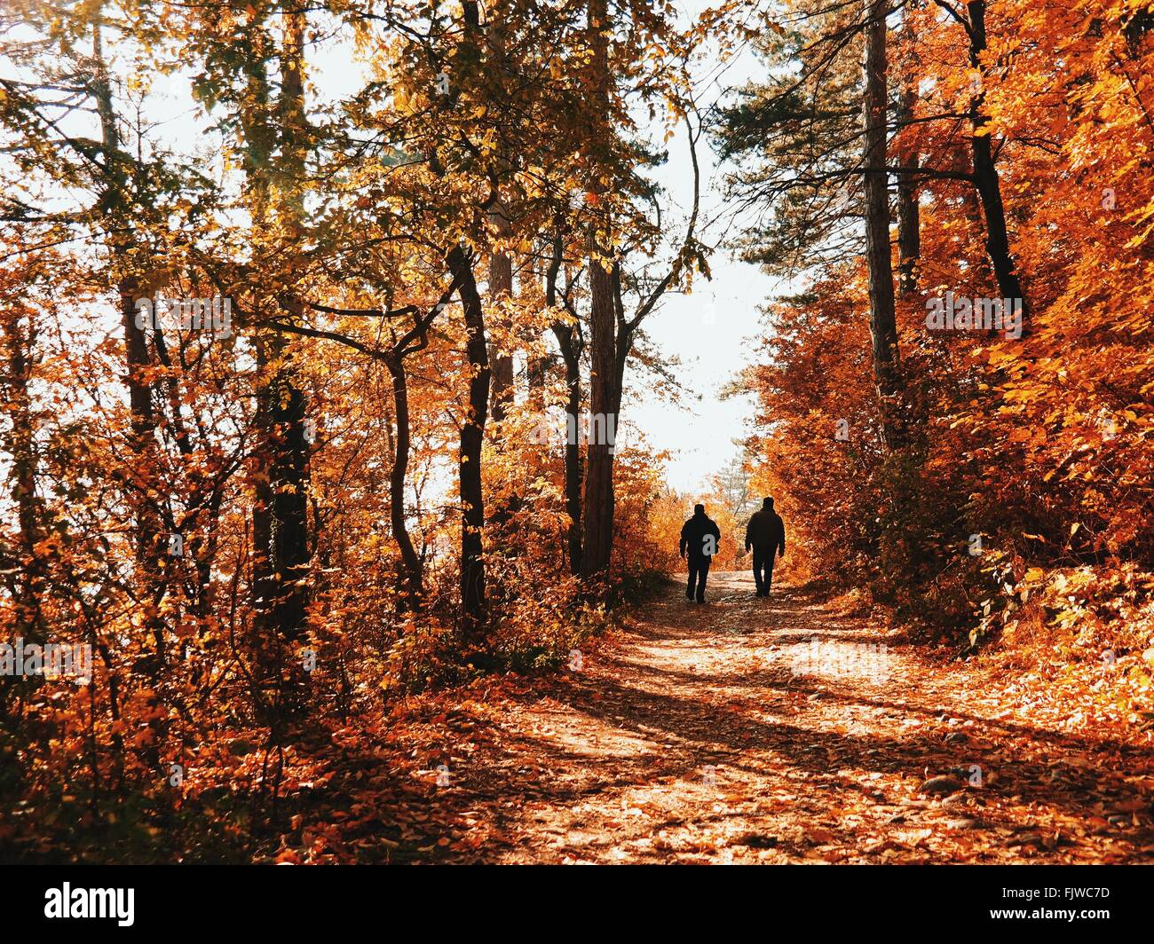 Walking along the country road hi-res stock photography and images - Alamy