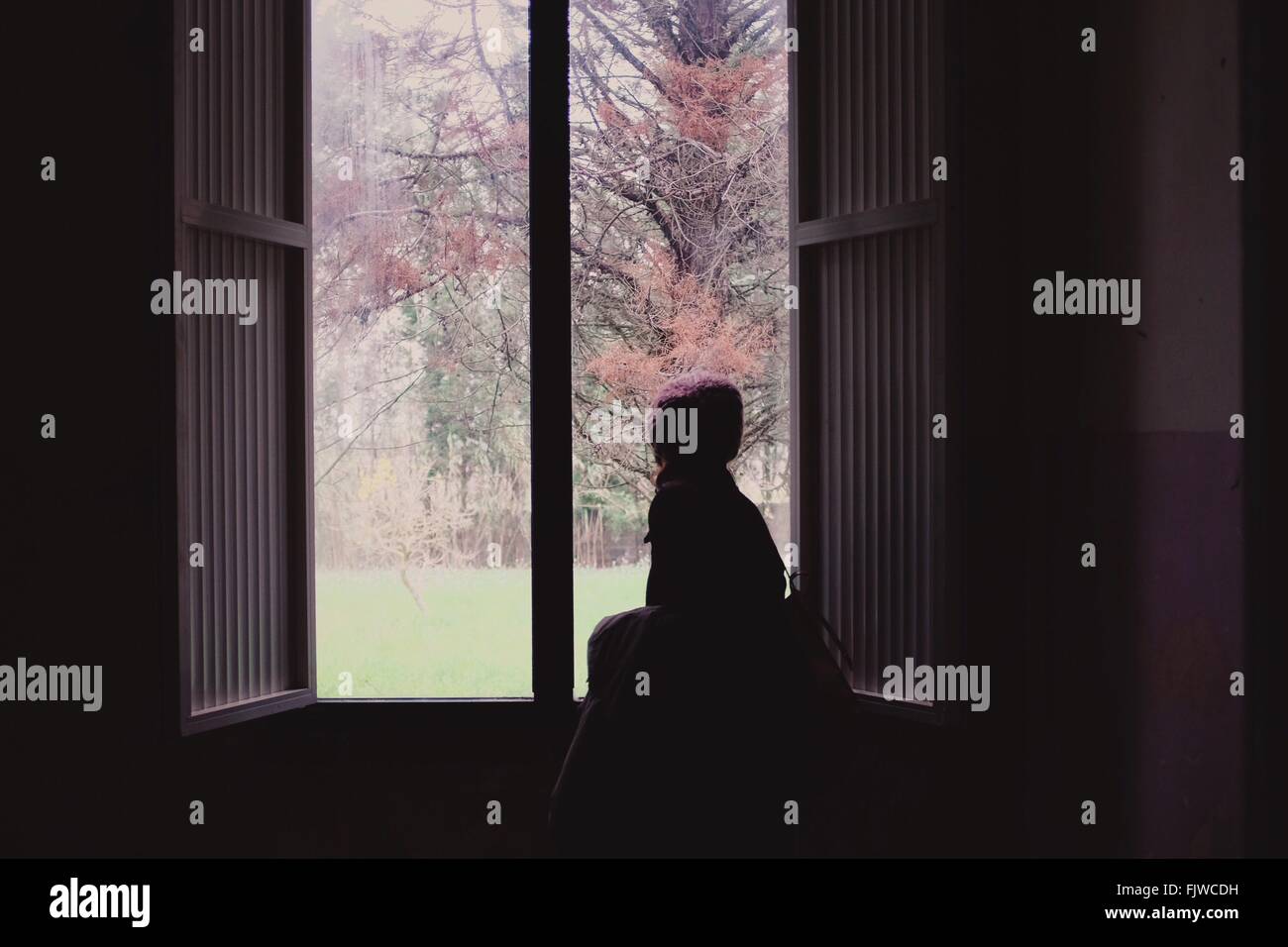 A View Through Window High Resolution Stock Photography and Images - Alamy