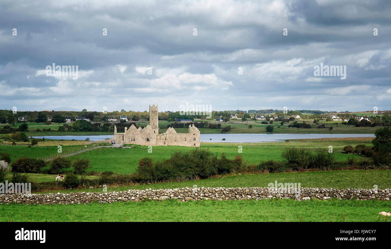 Ross Errilly Friary, Galway Ireland Stock Photo - Alamy