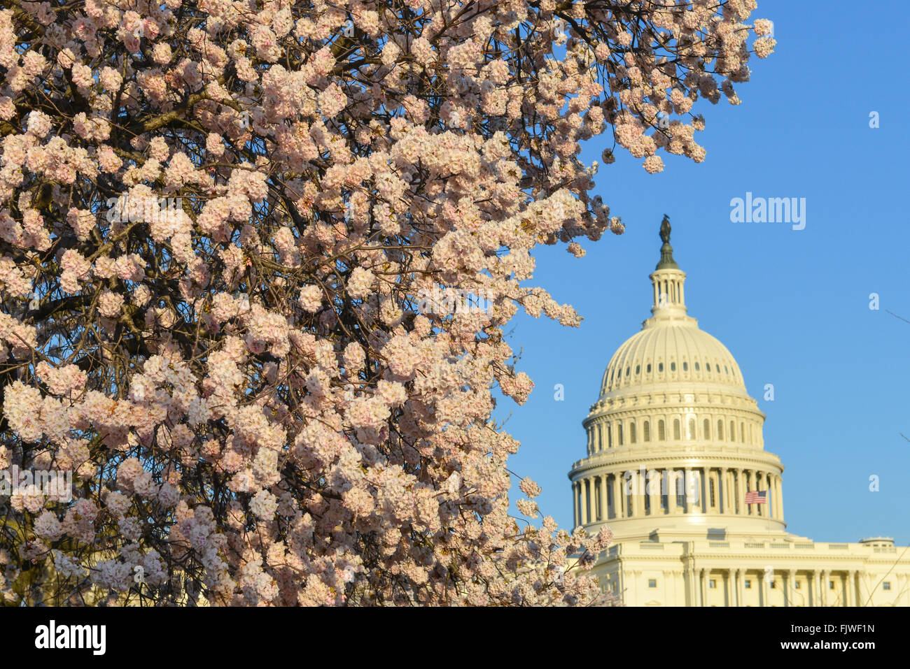 The Capitol Building in Spring Stock Photo - Alamy