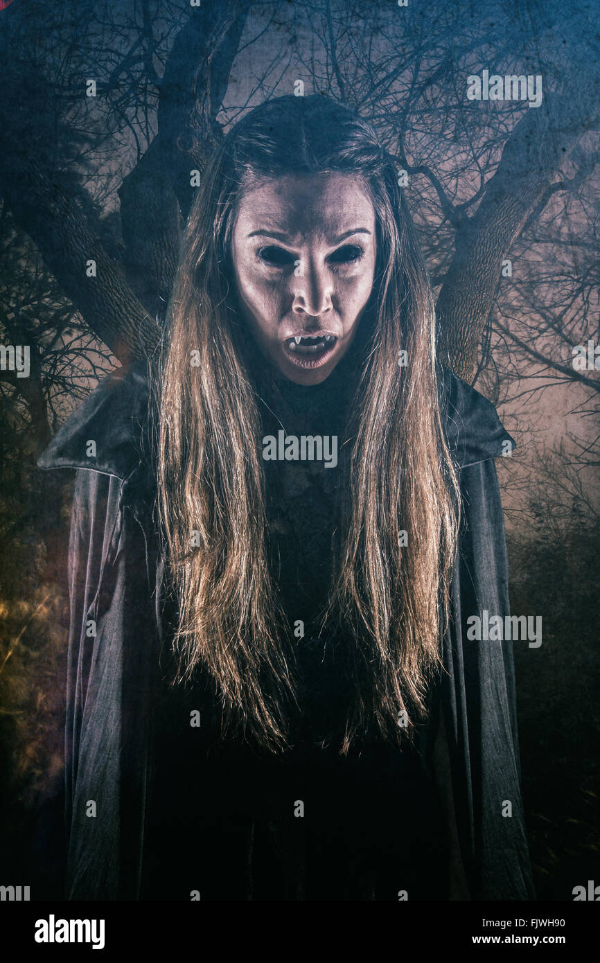 Twilight vampire woods hi-res stock photography and images - Alamy