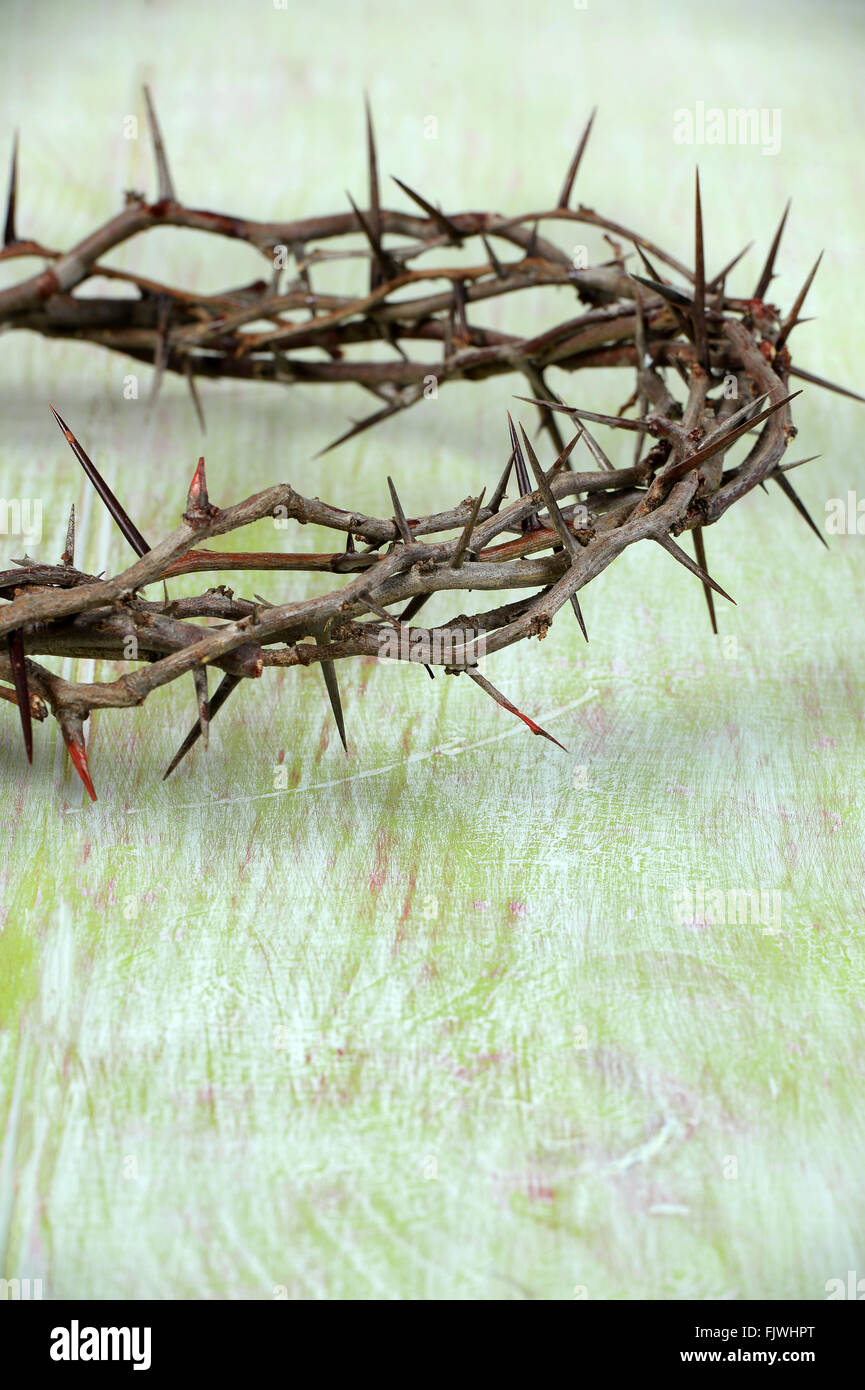 Thorns hi-res stock photography and images - Alamy