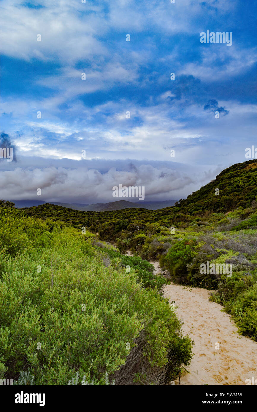 Darby Beach Track Stock Photo - Alamy