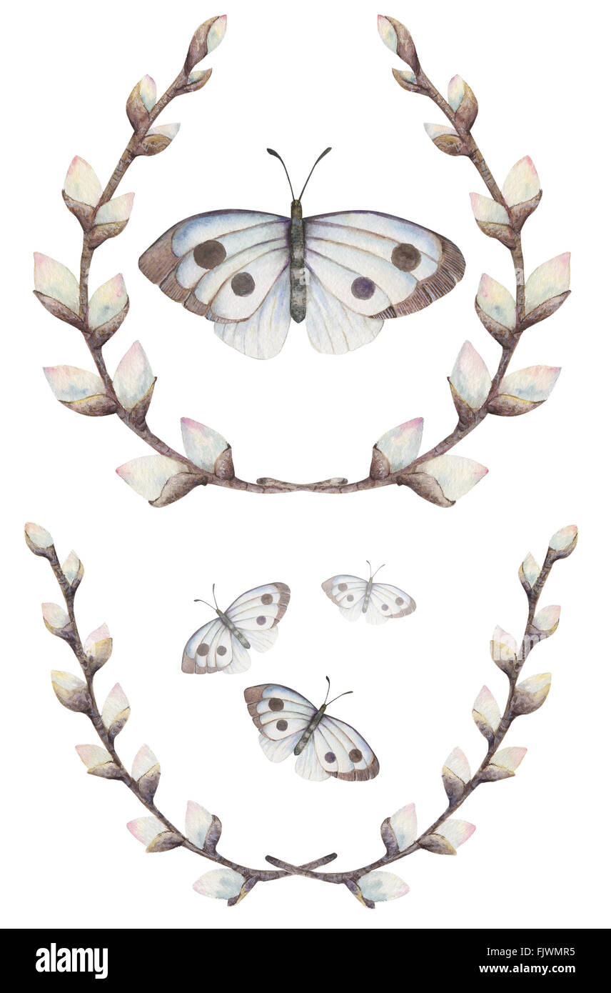 The wreath of willow with the butterfly painting with watercolor Stock ...