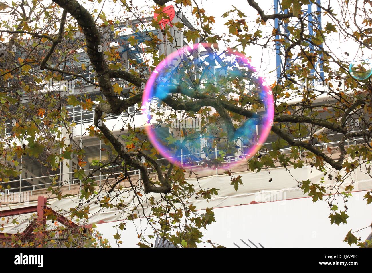 Bubble Tree High Resolution Stock Photography and Images - Alamy