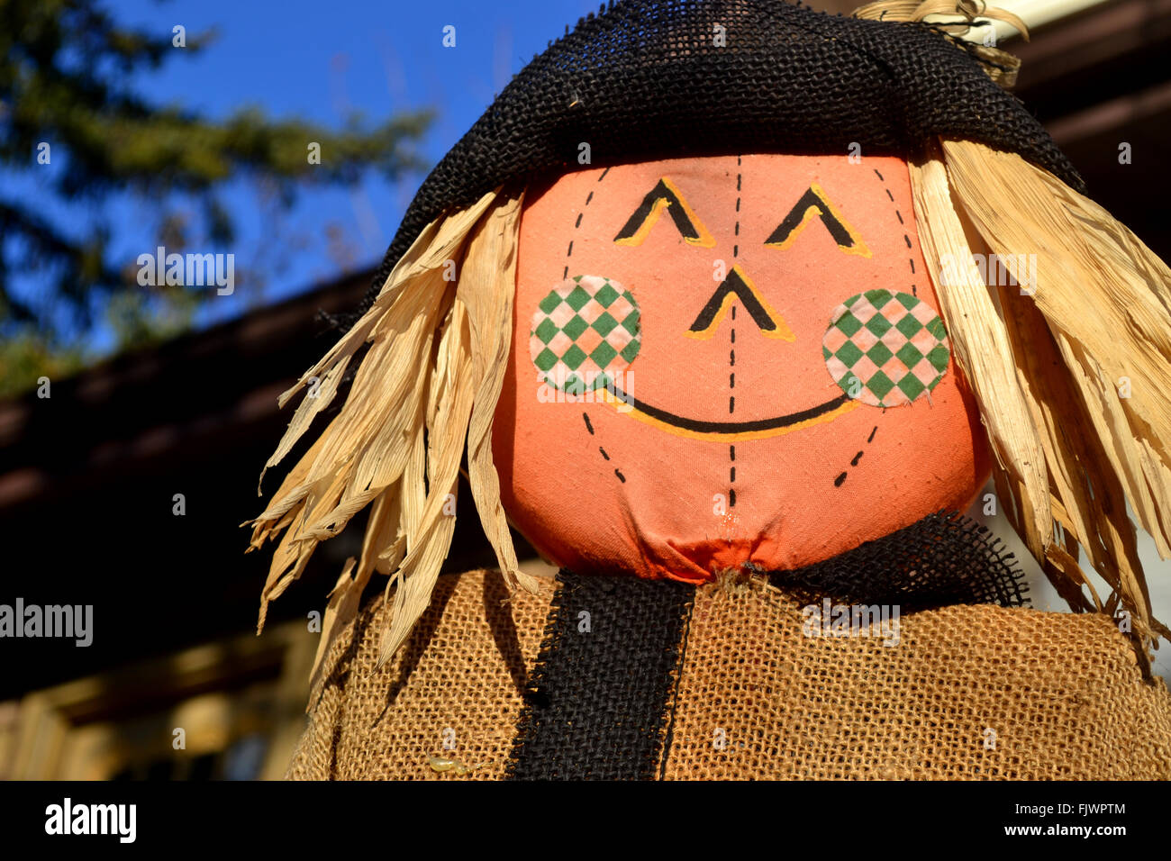 Low Angle View Of Scarecrow Stock Photo - Alamy