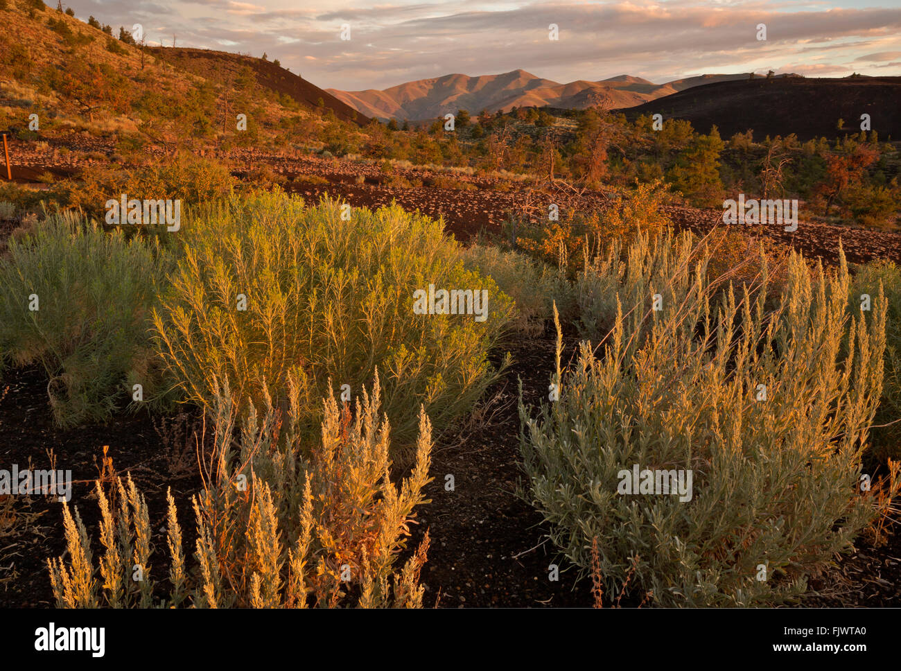 IDAHO - Sunrise colors on the pumice field below the Inferno Cone in ...