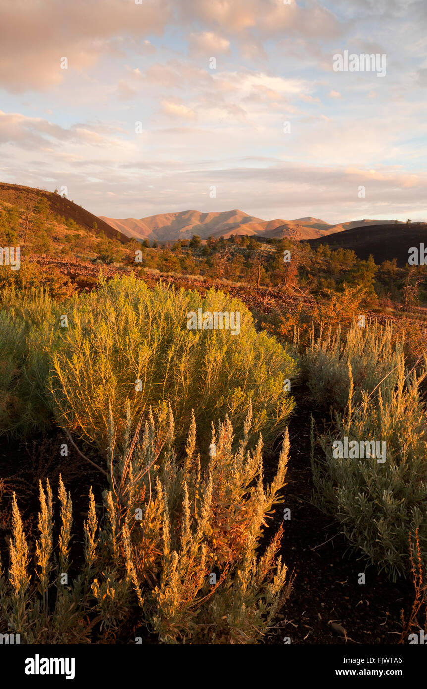 IDAHO - Sunrise colors on the pumice field below the Inferno Cone in ...