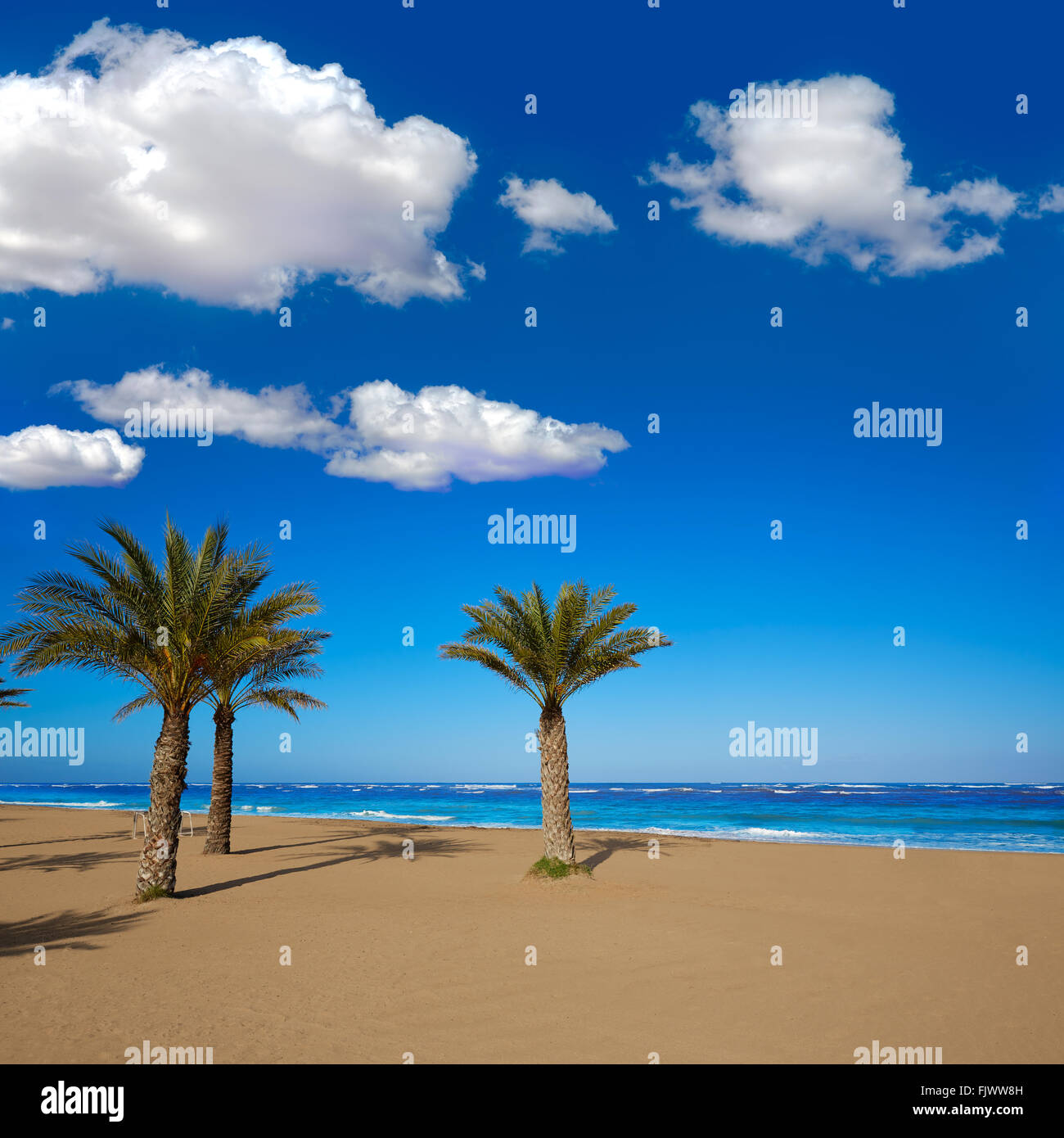 Denia beach Las Marinas with palm trees in Mediterranean Alicante of ...