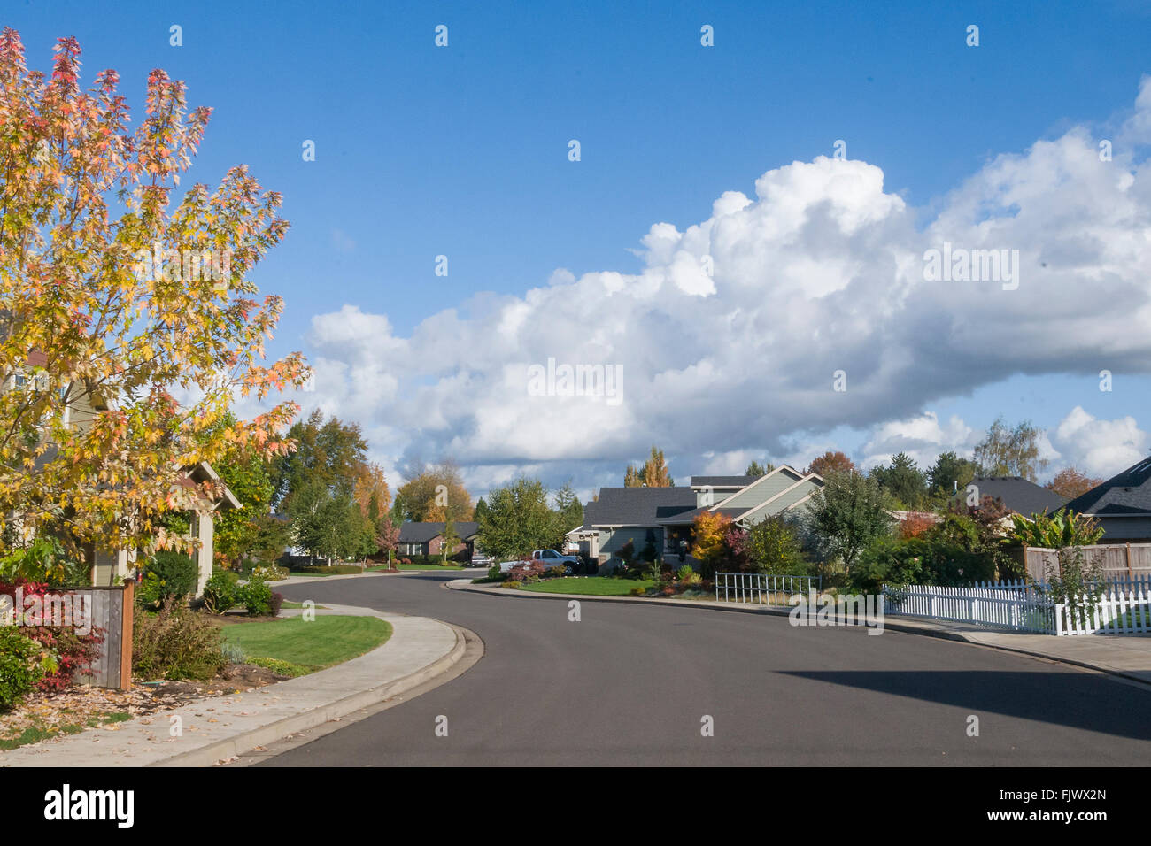 Beautiful Neighborhood Street