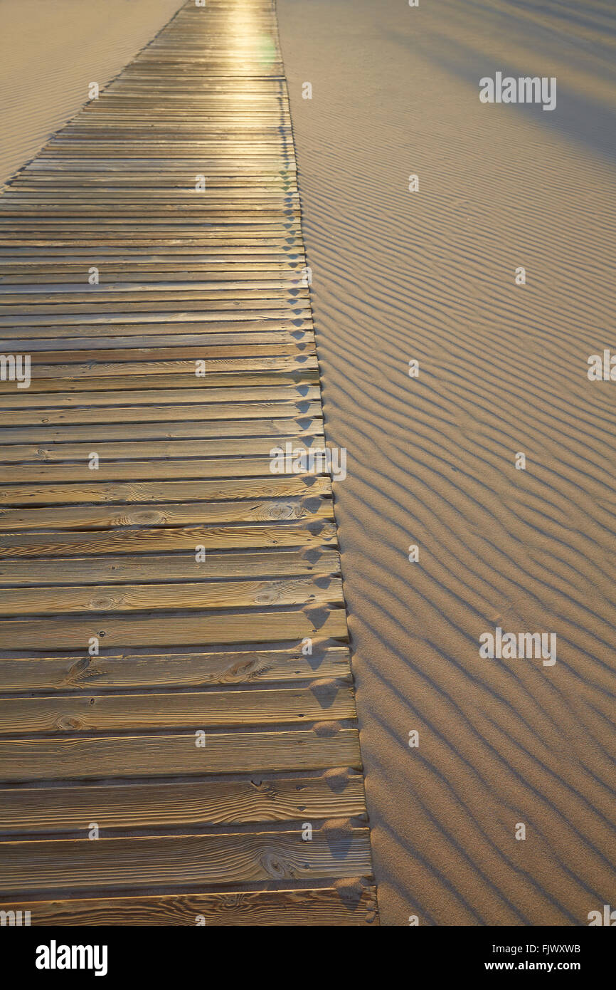 Timber walkway board walk in hi-res stock photography and images - Alamy