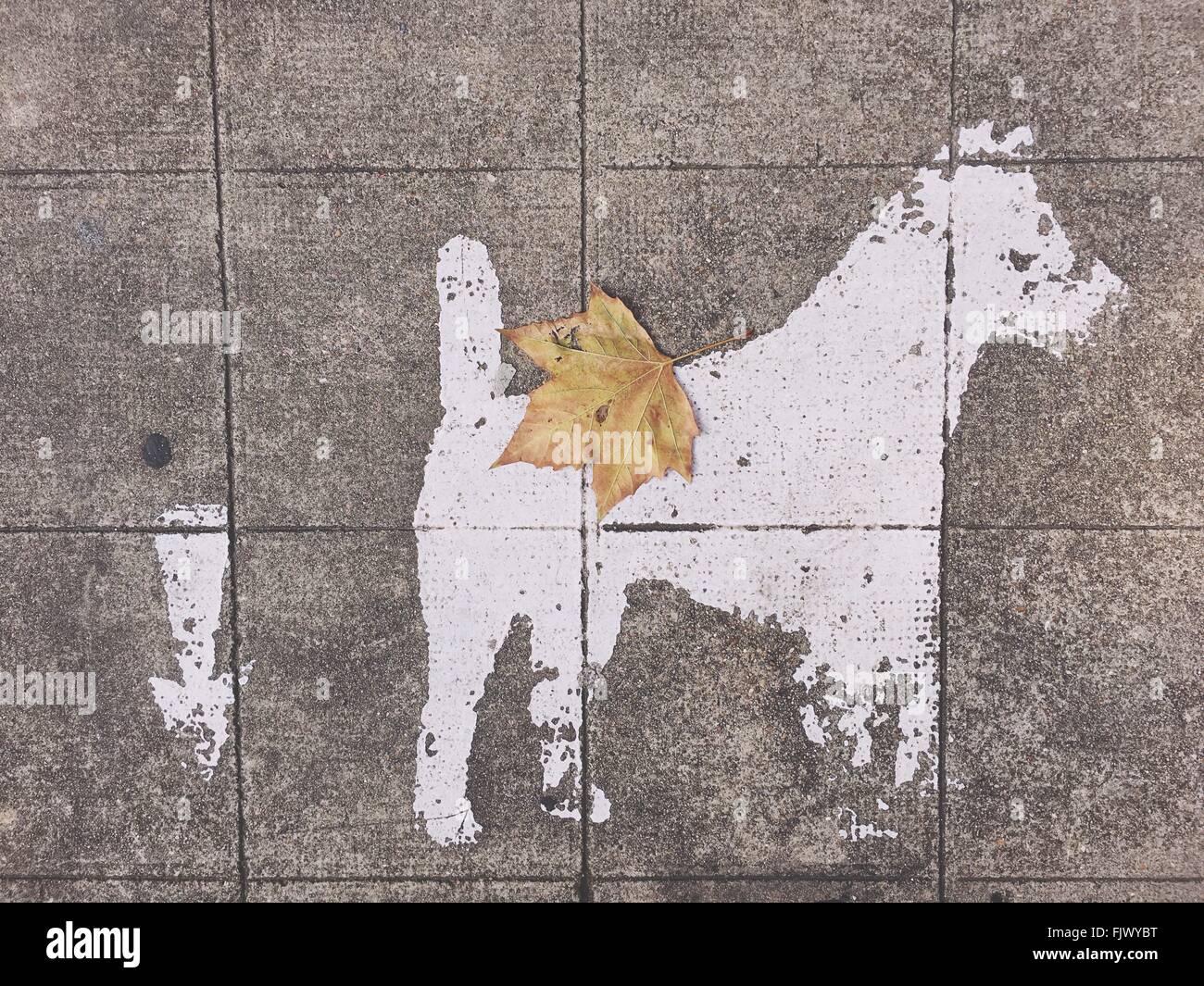 Footpath Direction Arrow High Resolution Stock Photography and Images ...