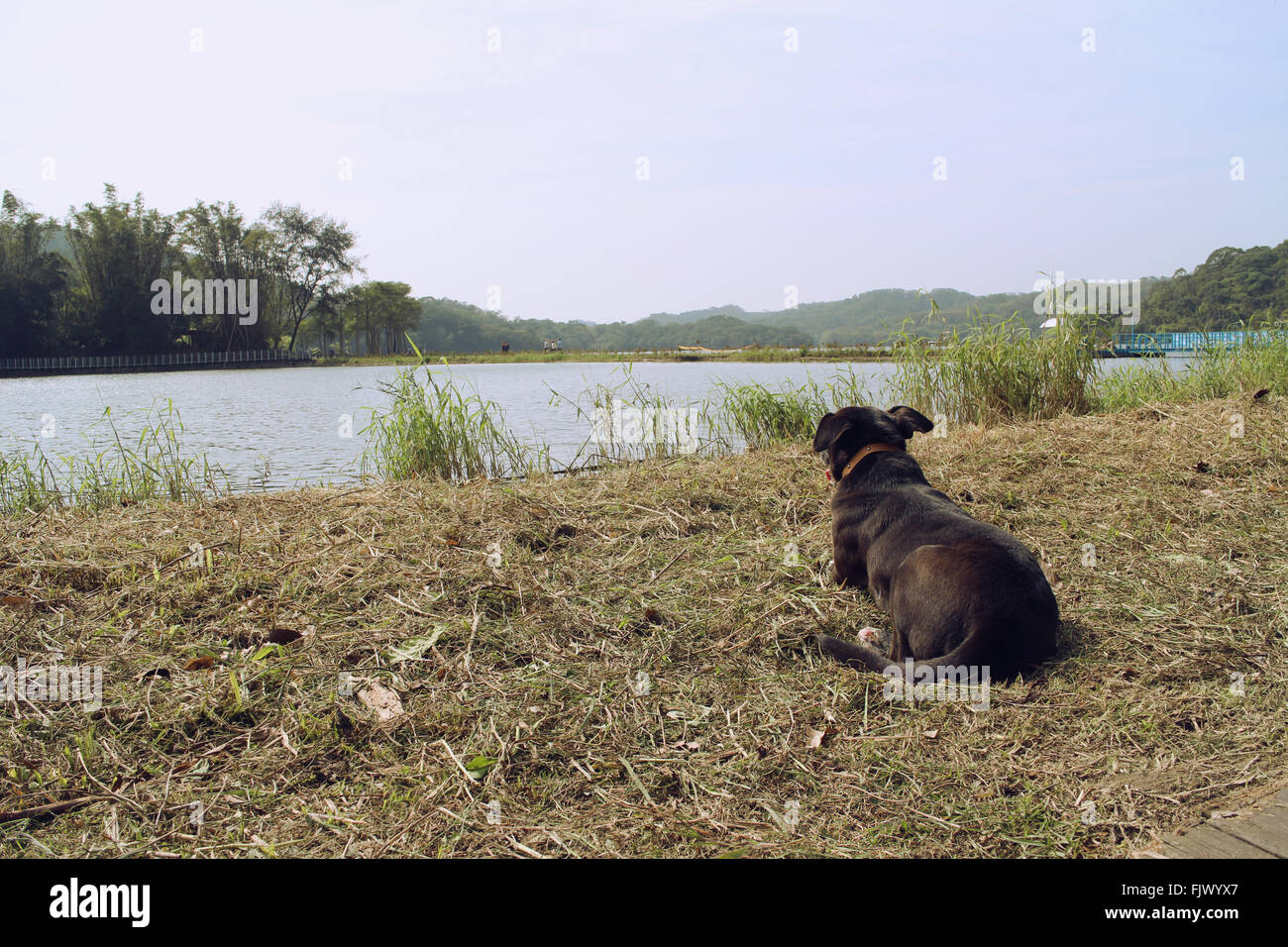 Talk back hi-res stock photography and images - Alamy