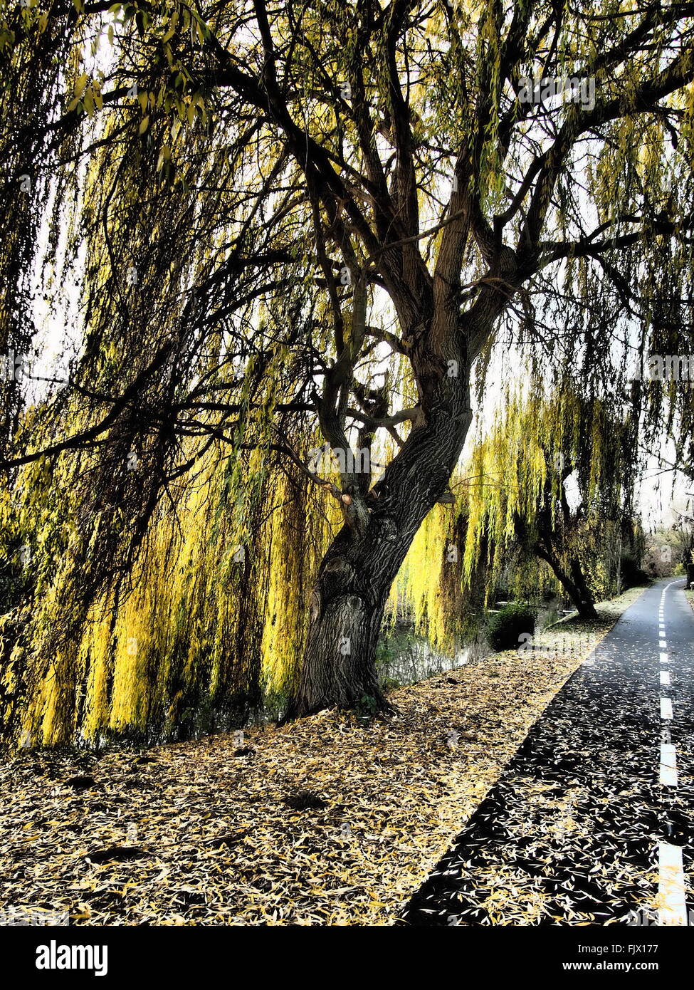 Growth road hi-res stock photography and images - Alamy