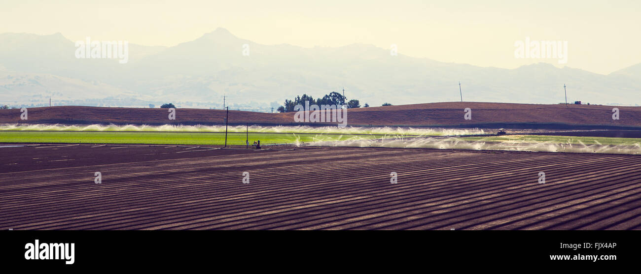 California farming hi-res stock photography and images - Alamy