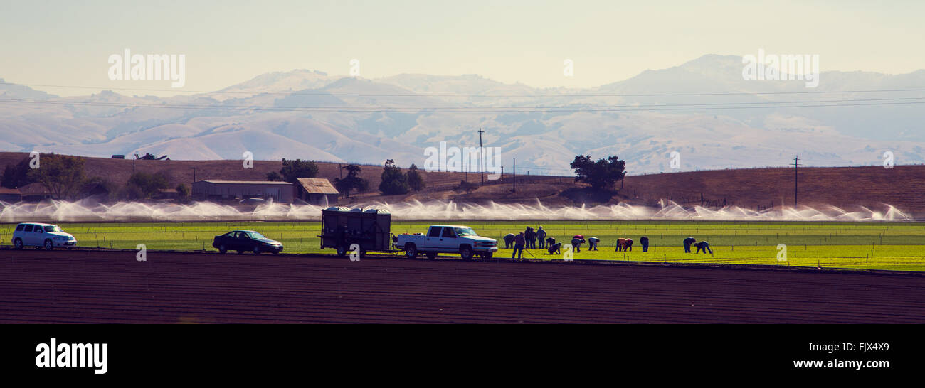 California farming hi-res stock photography and images - Alamy