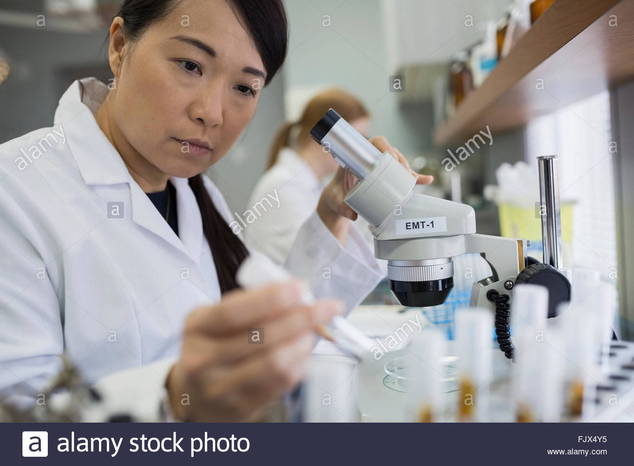 Focused medical scientist working at laptop in laboratory Stock Photo ...